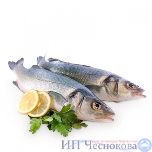 Рыба, Сибас н/р 300-400гр. - купить в Москве и Московской области с ...